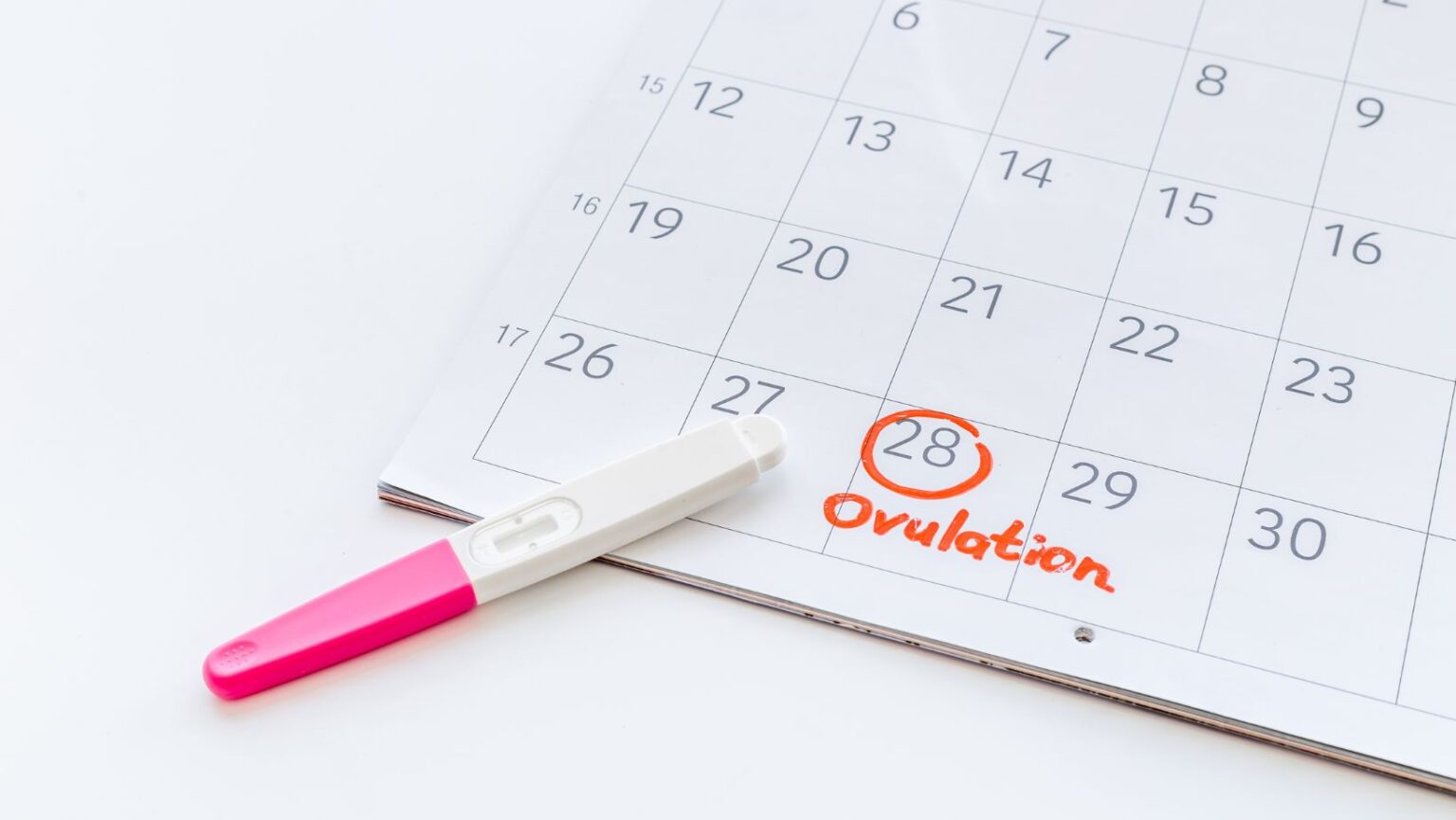 Ovulation Tracking: Understanding Your Fertile Window - Sportsfanfare