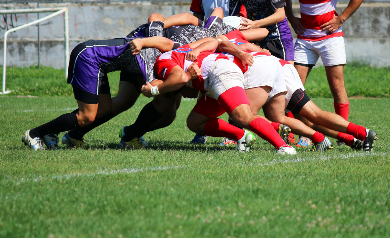 Strength and Conditioning for Rugby: Exercises, Programs & Tips ...