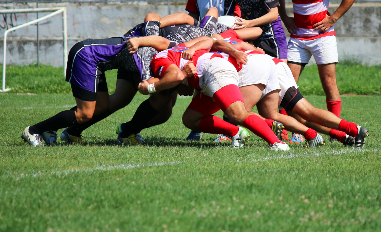 Strength and Conditioning for Rugby: Exercises, Programs & Tips ...
